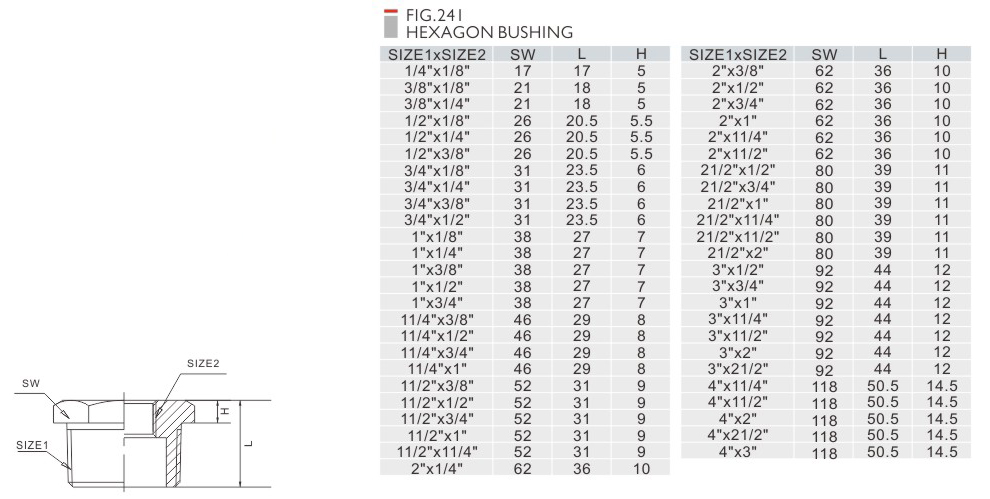 HEXAGON BUSHING FIG.241 - HUANRI GROUP